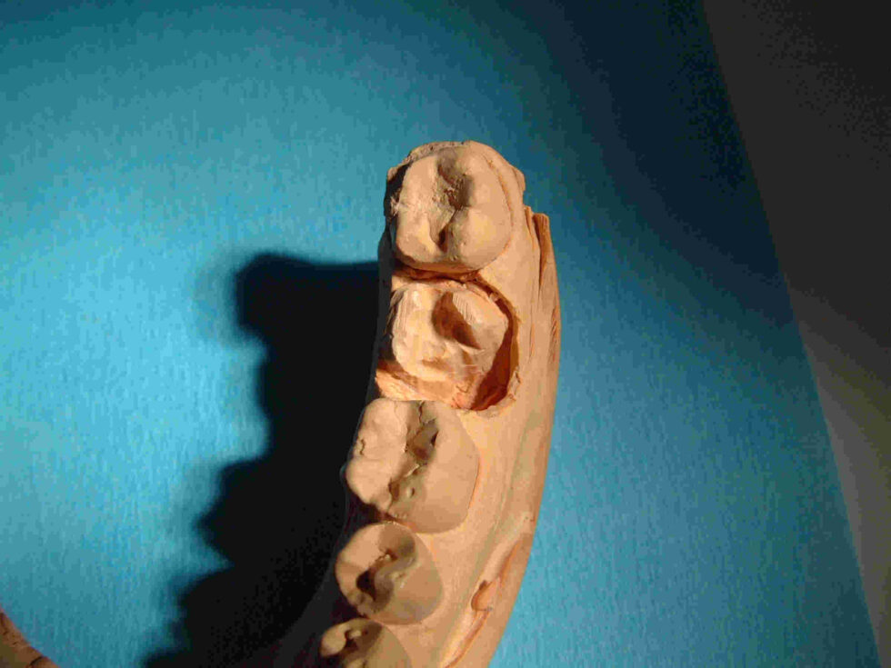 Da wird sich die biologische Breite wohl oder übel neu einstellen ...